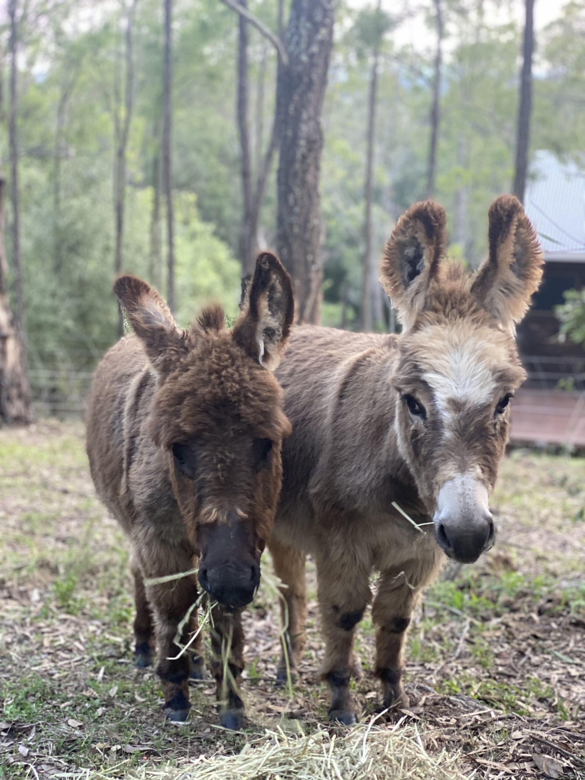 Popular Activities - Hunter River Retreat